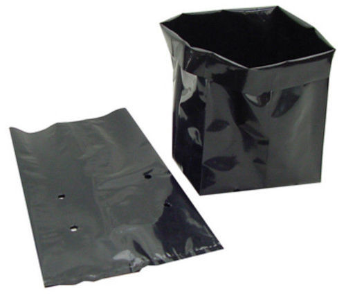 8 X 12 Planting Bag 500g Poly Bag PACK1 CTN60 8-x-12-planting-bag-500g-poly-bag-pack1-ctn60